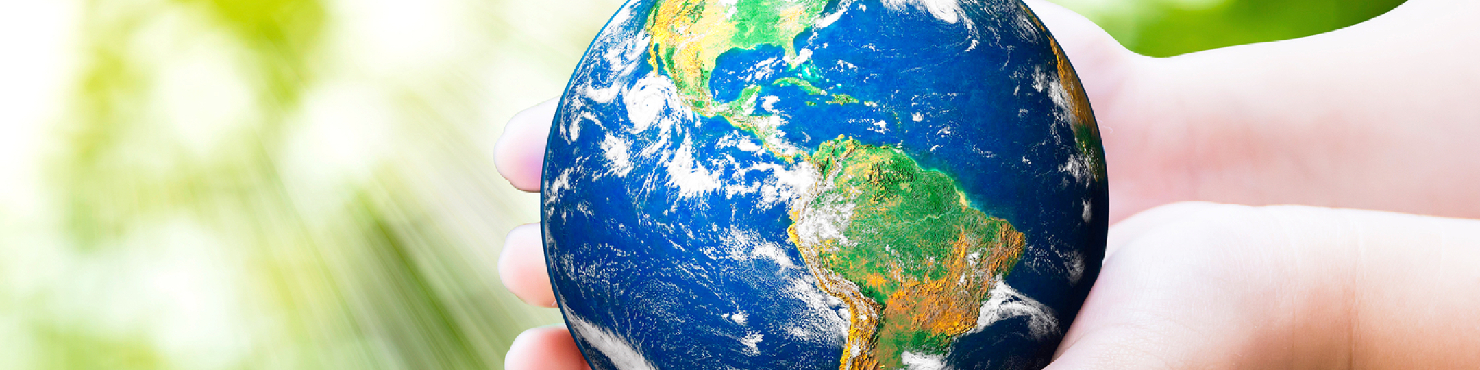 Environmental Feature-2160x540 — Seahorse Energy®